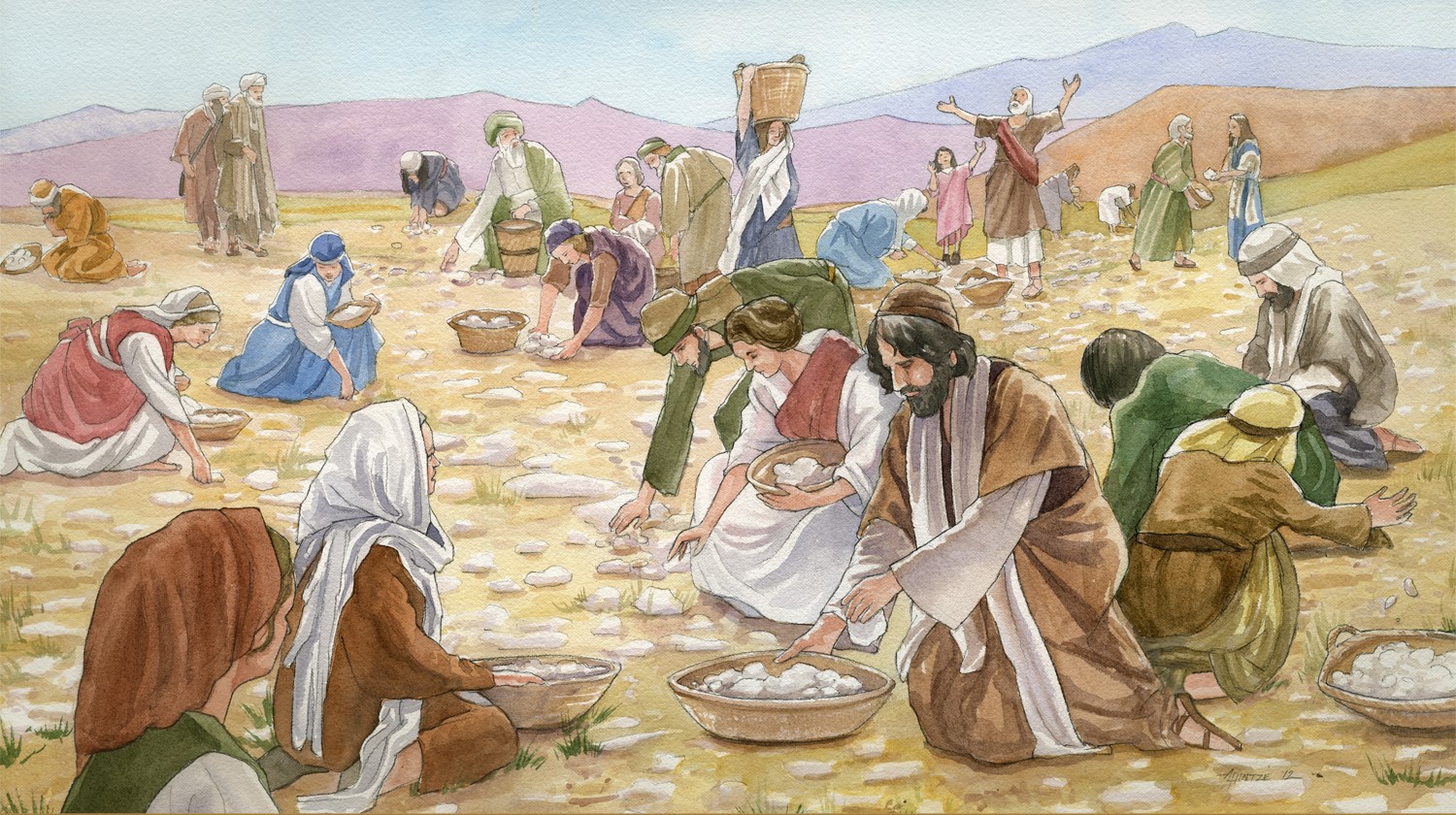 Daily Manna | Marana Tha Ministries