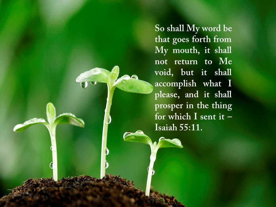 천국 – 인생 교훈 No. 3: 모방이 아닌 동화 | 마라나 타 사역