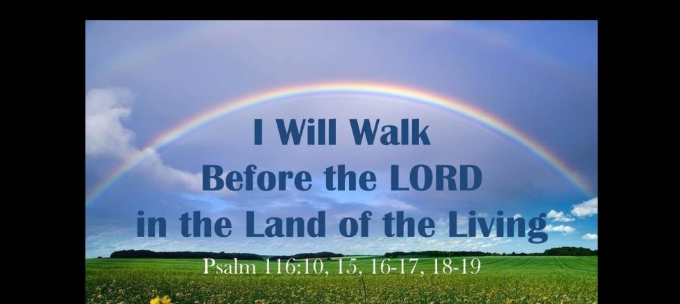 The Sanctified Life – Living Free – Above and Not Beneath – Life Lesson ...
