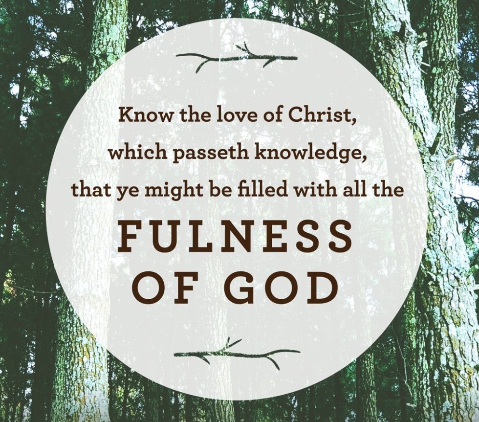 You got it! Stop trying to get what you already got – Life Lesson No. 6 ...