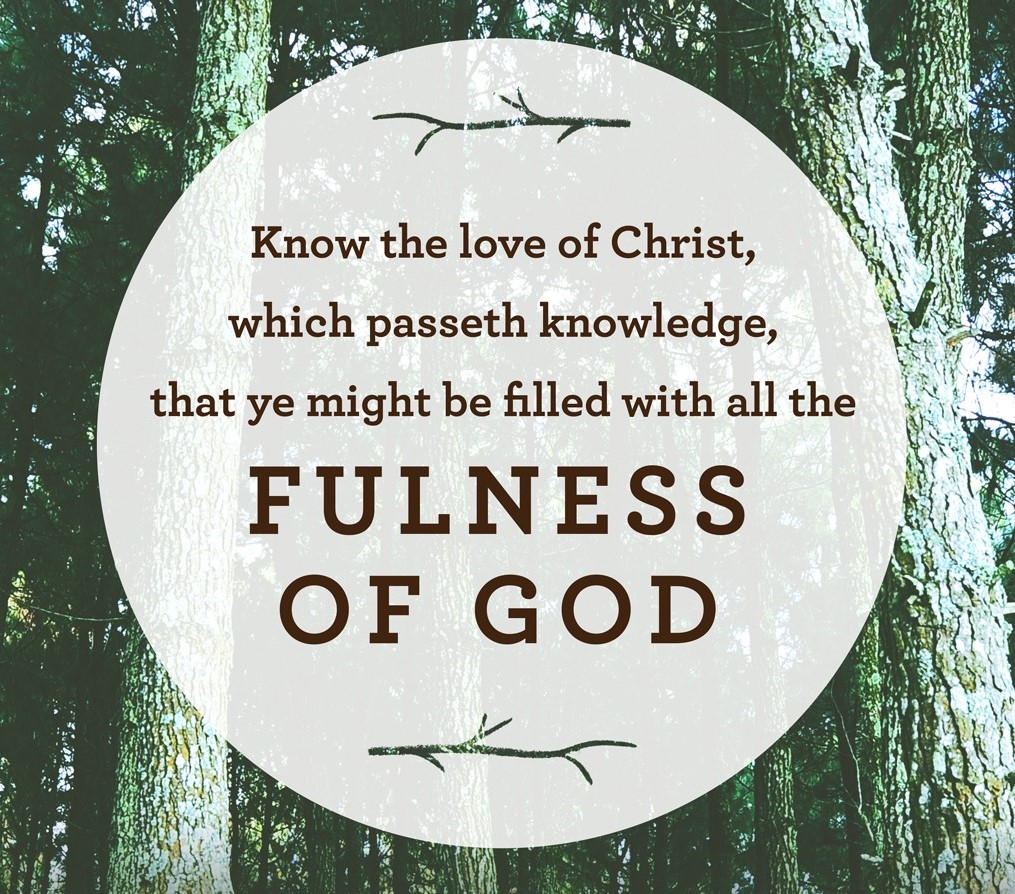 You got it! Stop trying to get what you already got – Life Lesson No. 6 ...